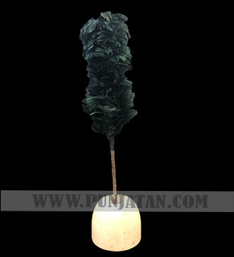 Green Kalgi – Punjatan Tabarrukat Centre